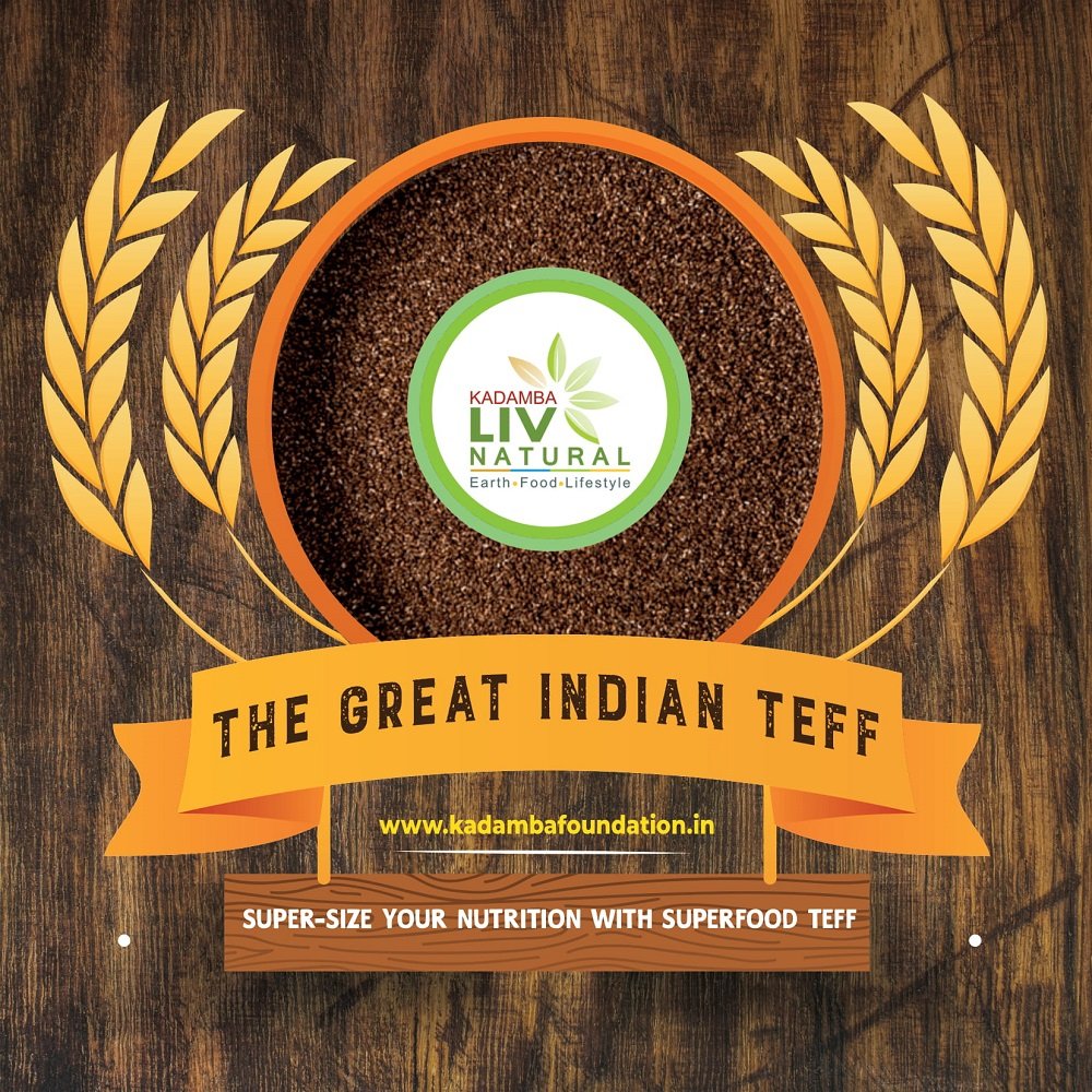 Kadamba Foundation - Teff Brochure